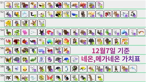 12월7일 기준 입양하세요 가치표네온메가네온 포함 Youtube