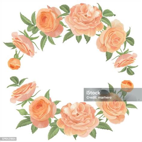 장미 꽃과 잎 배경 템플릿 꽃 프레임 웨딩 초대장 인사말 카드 바우처 브로셔 및 배너 디자인을위한 꽃 요소의 벡터 세트 0명에 대한 스톡 벡터 아트 및 기타 이미지 Istock