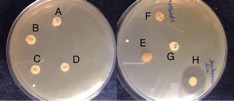 Antimicrobial Activity Of Partially Purified Bacteriocin And