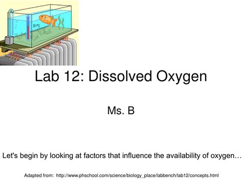 PPT Lab Dissolved Oxygen PowerPoint Presentation Free Download ID