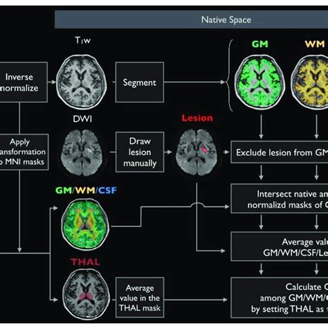 data processing flowchart for quantitative tissue contrast validating