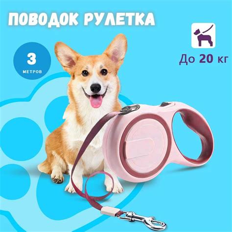 Поводок-рулетка для собак, 3m, прочный пластик, прочная лента - купить ...