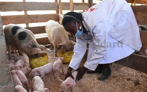 Siaya Women Who Shunned Sex For Fish The Standard