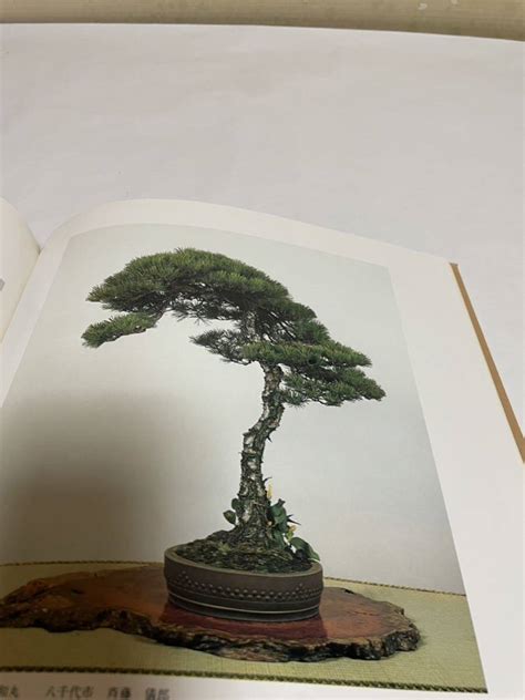 Yahoo オークション 陽春 日本盆栽名品展 記念帳 1 2 3 5 6 13 14 18