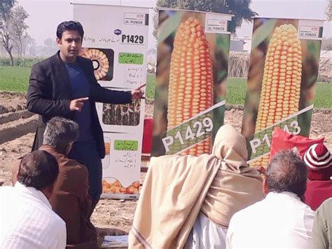 Adnan Sheikh On Linkedin Interaction With Customers