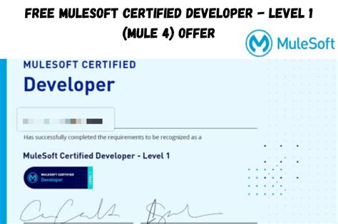 Free Mulesoft Certified Developer Level 1 Mule 4 Offer Cyberrubik