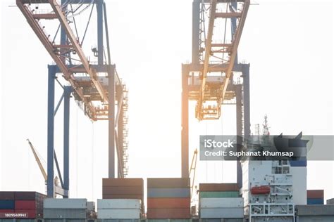 크레인 적재화물 컨테이너에서 트럭에서 컨테이너 선박으로 국제 터미널 물류 항구 개념화물 운송 웨비나 배너 전달자 돛대 0명에 대한 스톡 사진 및 기타 이미지 Istock