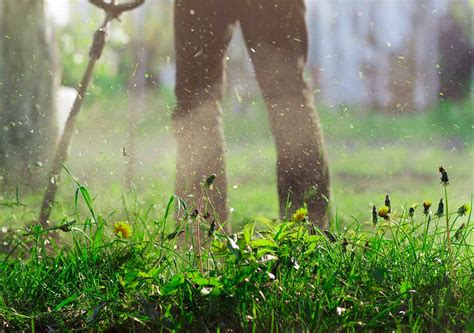 Essentials Of Lawn Scalping Best Pick Reports