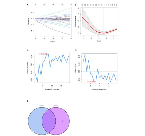 Identification Of Differential Feature Genes Based On Machine Learning