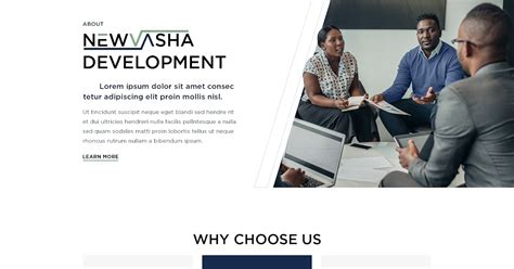 Web Design For An Export Processing Zone