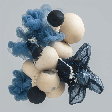 Ecological Meaning → Term