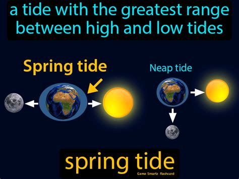 Diagram Of How Tides Work Fucking Tides How Do They Work