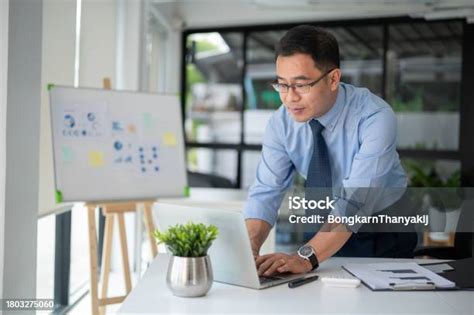 사무실실에서 프로젝트를 진행하고 있는 경험 많은 선임 사업가 랩톱 컴퓨터 사용 50 54세에 대한 스톡 사진 및 기타 이미지 50 54세 감독 결정 Istock