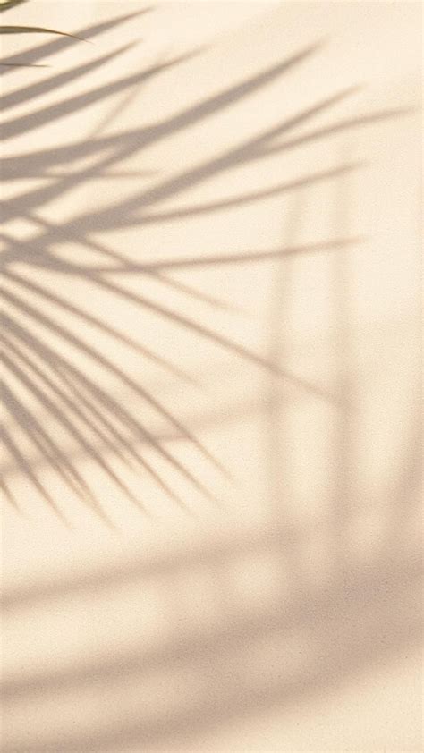 Песок с тенью от пальмы · Обои на телефон по ссылке в 2025 г Тени Обои Пальмы