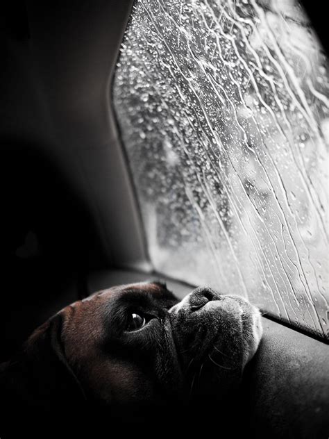 At The Car Wash Yeah 064365 060511 Turns Out The Flickr