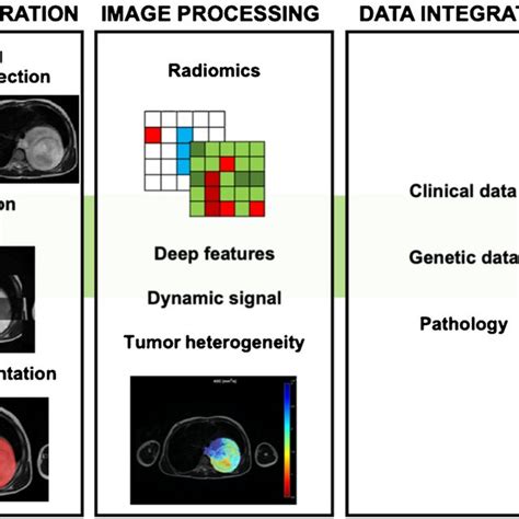 Workflow Used In The European Primage Predictive In Silico Multiscale Download Scientific