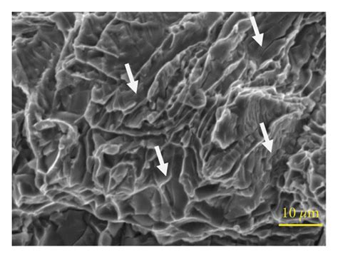 Cast Lm 13 Alloy A Aluminum Dendrites Surrounded By Si Particles B Download Scientific