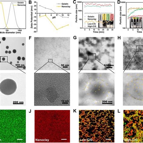 The Evaluation Of Colloidal Assembly Driven By Electrostatic Download Scientific Diagram