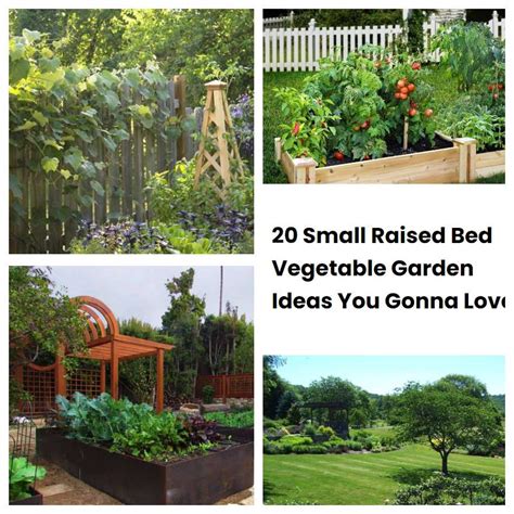 20 Small Raised Bed Vegetable Garden Ideas You Gonna Love Sharonsable
