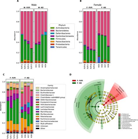 Deficiency Of Histone Variant Macroh2a1 1 Is Associated With Sexually Dimorphic Obesity In Mice