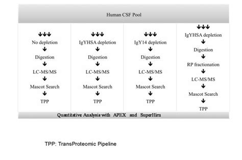 Overview Of The Workflow Used For Csf Proteome Analysis A Pooled Csf