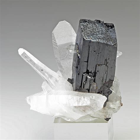 Hubnerite With Quartz Minerals For Sale 8039957