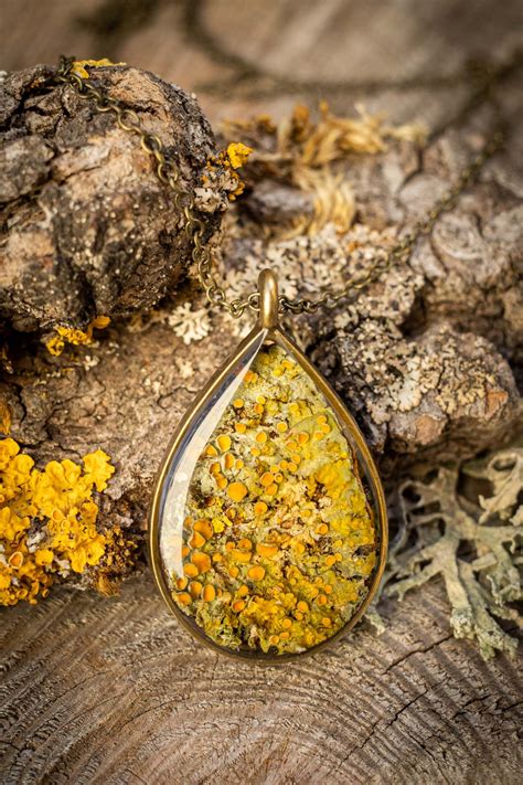 Traumhafter Naturschmuck Schmuck Aus Harz Schmuck Aus Holz Und Harz Schmuck