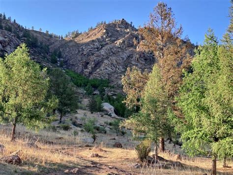 Oyukhai ཨོ་ཡུན་ཐུང་ག་ལག On Twitter Хөвсгөл аймгийн Тариалан сумын нутаг Ар тархи баг