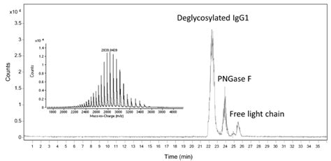 Intact Mass Analysis Service Mtoz Biolabs