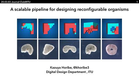 200303 A Scalable Pipeline For Designing Reconfigurable Organisms Ppt