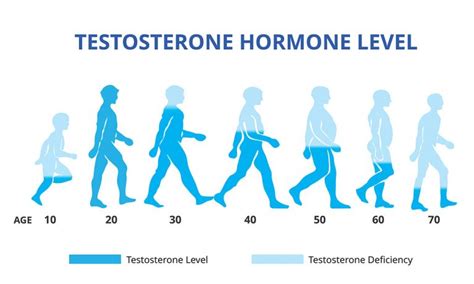 Low Testosterone In Women Symptoms And Treatment
