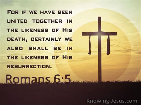 Romans 65 For If We Have Become United With Him In The Likeness Of His