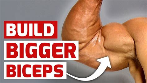5 Arm Workout Hacks For Bigger Biceps Big Biceps Biceps Arm Workout