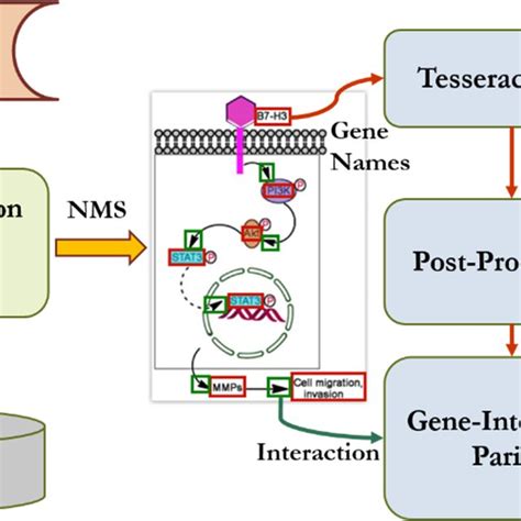 Overview Of Our Entity Interaction Extraction Pipeline Download