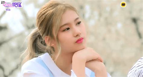 남자친구 하면 뽀뽀밖에 생각안나는 뽀뽀덕후 트와이스 막내 손채영 ㅋ 인스티즈instiz 인티영상 종료 카테고리