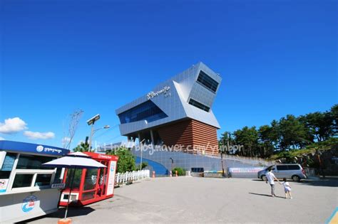 삼척 해상케이블카 가격 이용방법 장호항 완전 추천해요 네이버 블로그