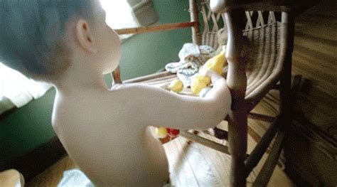 The Tree Of Life Gifmovie Wifflegif