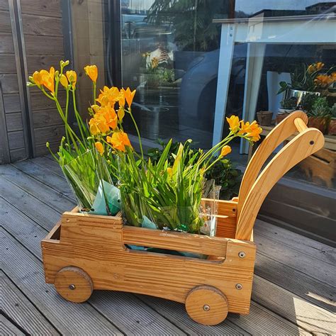 남원꽃집and엠플레르 🌼오늘의 꽃🌼 엠플레르에서 추천하는 오늘 꽃은 바로 프리지아입니다 🤗 아직 쌀쌀하지만 이 꽃을 보면 언제나 산뜻한 봄이 느껴지는 것만 같아요💛