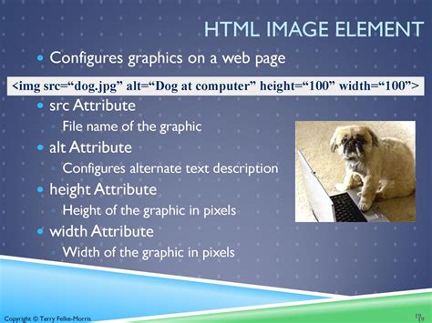Web Development And Design Foundations With Html5 7th Edition Ppt Download