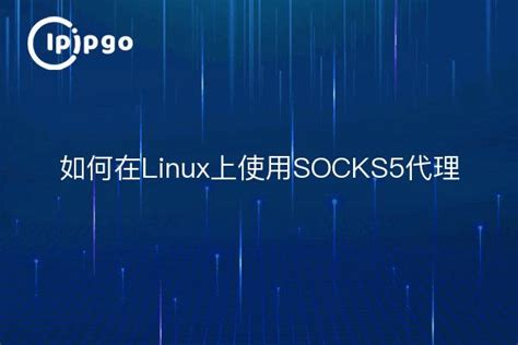 如何在Linux上使用SOCKS 代理 IPIPGO
