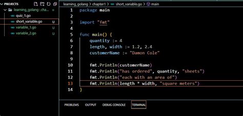 Shadrach Onimisi On Linkedin Golang 100daysofcode