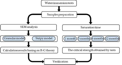 The Schemes Of Experiments Download Scientific Diagram