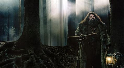 Harry Potter 20 Strange Details About Hagrids Anatomy
