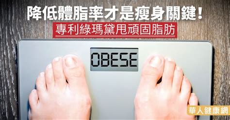 降低體脂率才是瘦身關鍵！專利綠瑪黛甩頑固脂肪 華人健康網 專業即時優質的健康新聞及資訊分享平台業即時優質的健康新聞及資訊分享平台