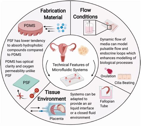 Advancements In Microfluidic Systems For The Study Of Female Reproductive Biology PMC