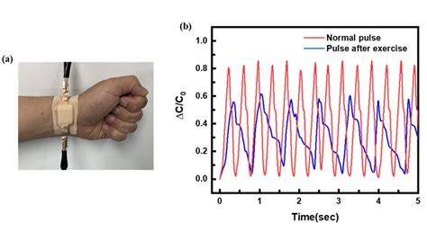 Practical Wrist Pulse Wave Applications Using A Pressure Sensor A