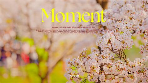 벚꽃 산책 플레이리스트 🌸 따스한 봄빛 아래 벚꽃이 흩날리던 순간 𝐏𝐞𝐫𝐬𝐨𝐧𝐚𝐥 𝐌𝐨𝐦𝐞𝐧𝐭 Youtube
