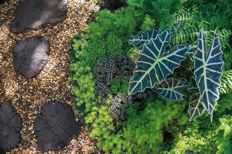 Come Usare I Sassi Da Giardino Cose Di Casa