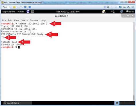 Buffer Overflow Lesson 1 Pcmans Ftp Server 207 Buffer Overflow Explained