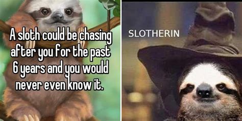 Sloth Head Memes 90 Sloth Memes Clean Ideas Sloth Sloth Meme